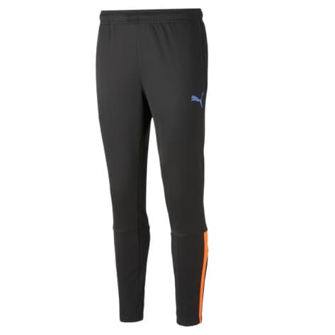Puma Herren Trainingshose teamLIGA Training Pants 657242 | cortexpower.de