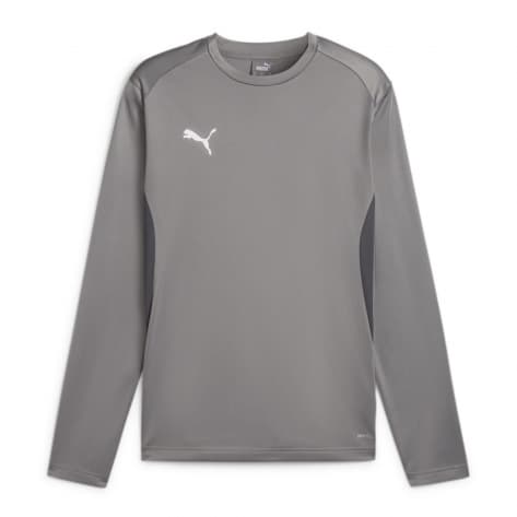 Puma Herren Pullover teamGOAL Training Sweat 658649-13 L Cast Iron ...